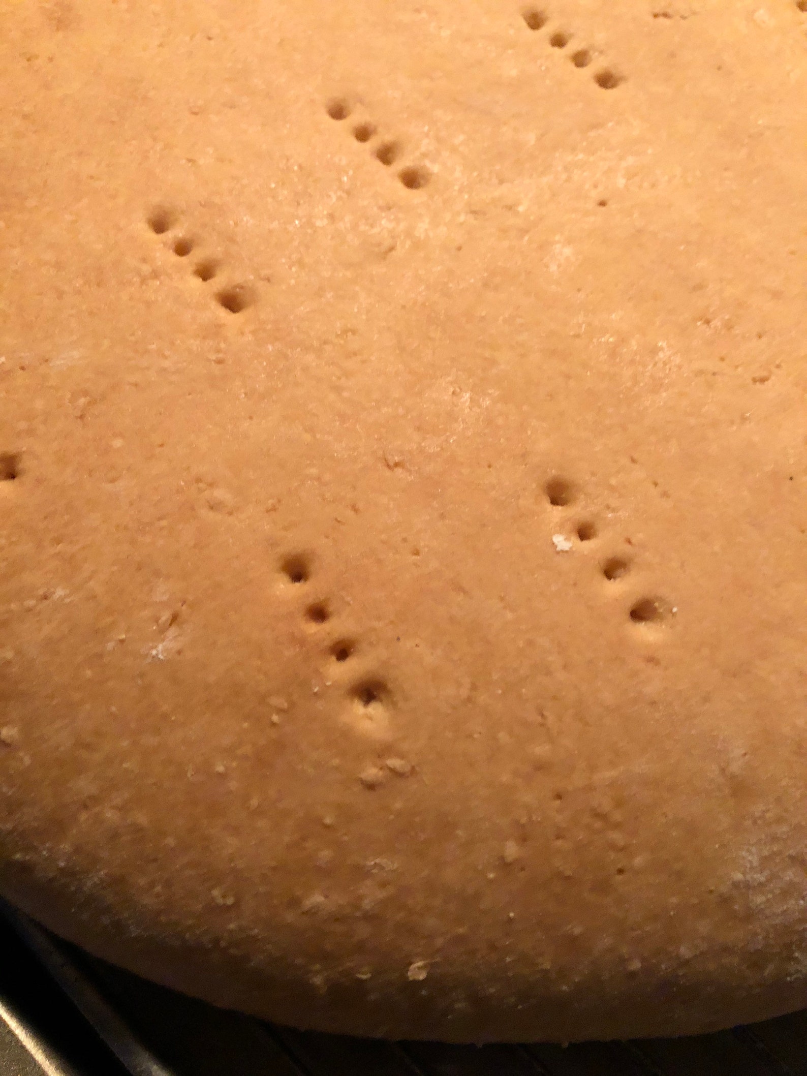 Coconut Dumb Bread Bulla/Coconut Bake | Etsy