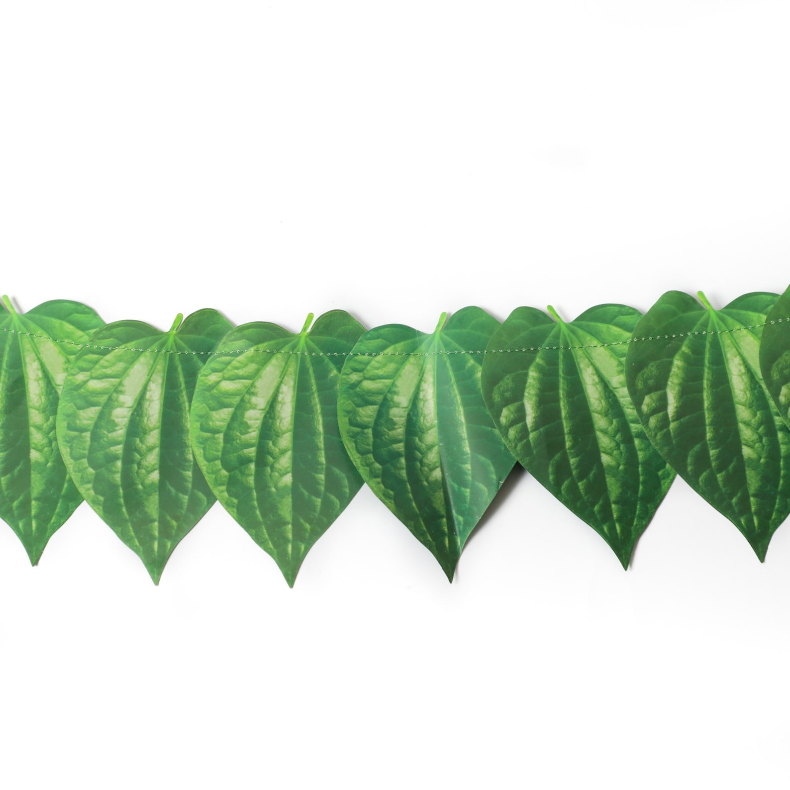 Betel Leaf Toran Garland, Pooja Backdrop Decoration, Pan Leaves Thoran ...