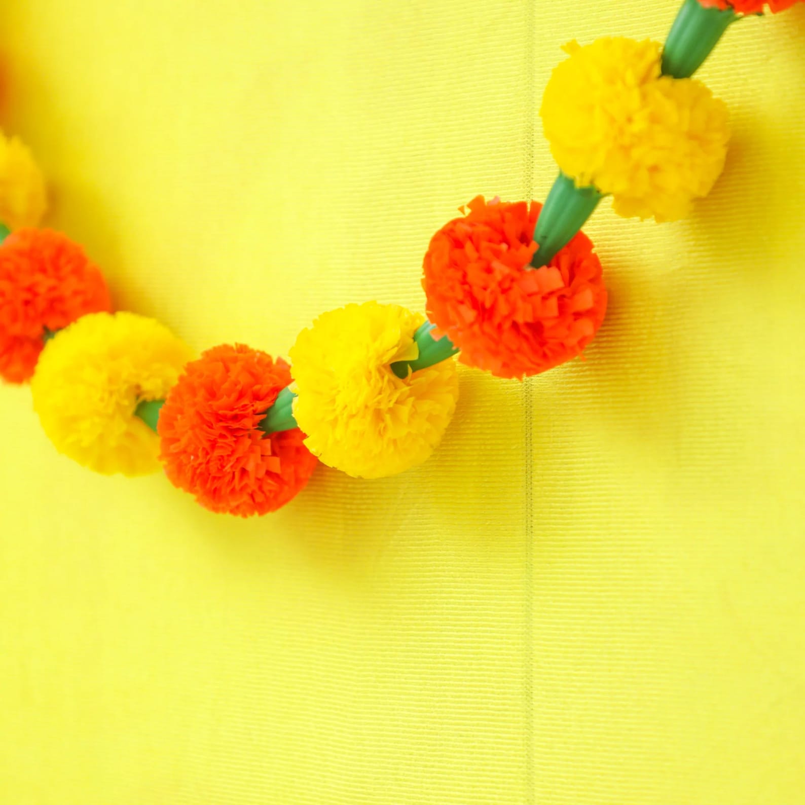 Rangoli Backdrop Cloth, Kolam Backdrop,pooja Backdrop, Cloth Backdrop ...