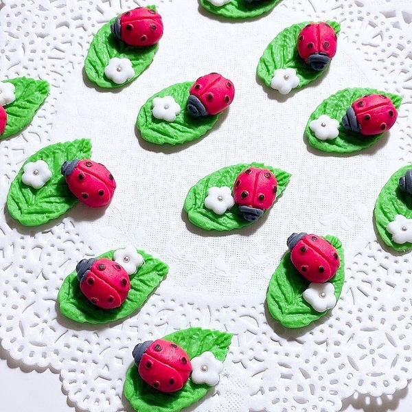 Ladybug Candy - Etsy