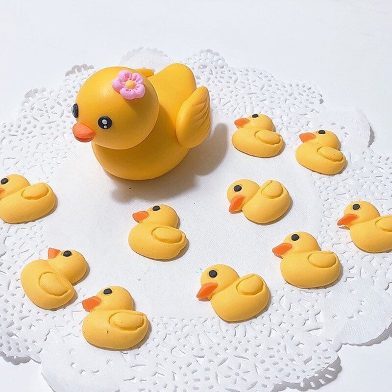 Duck Cake - Etsy