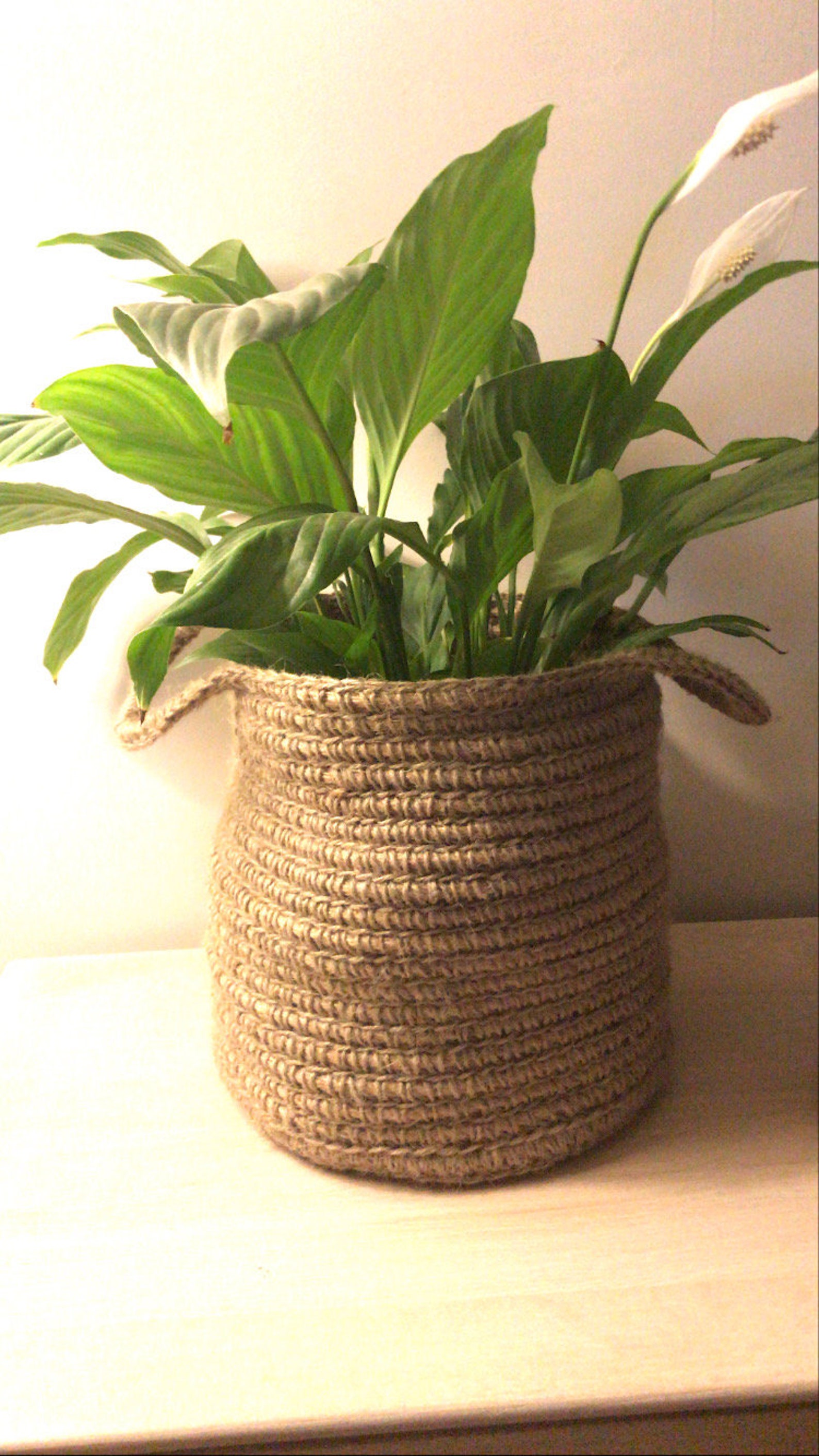 Jute Baskets With Handles - Etsy