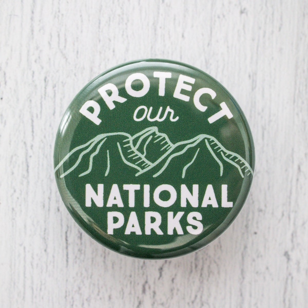 National Park Pin - Etsy