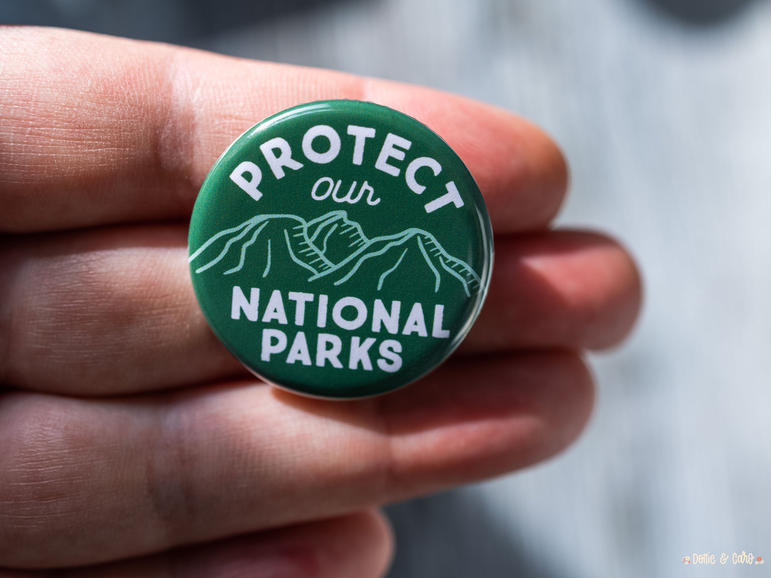 Protect Our National Parks Pinback Button, 1.25 Inch Pin, Gift for ...