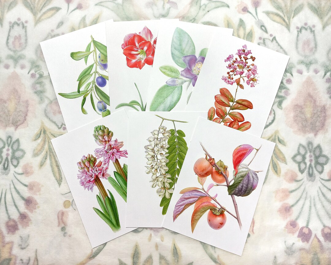 Set of 7 Botanical Watercolor Postcards A6, Botanical Mini Art Prints ...