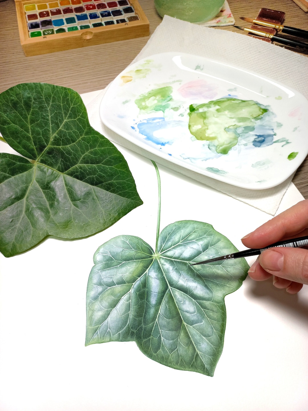 Original Painting of Ivy Leaf Hedera Plant, Watercolor Painting ...