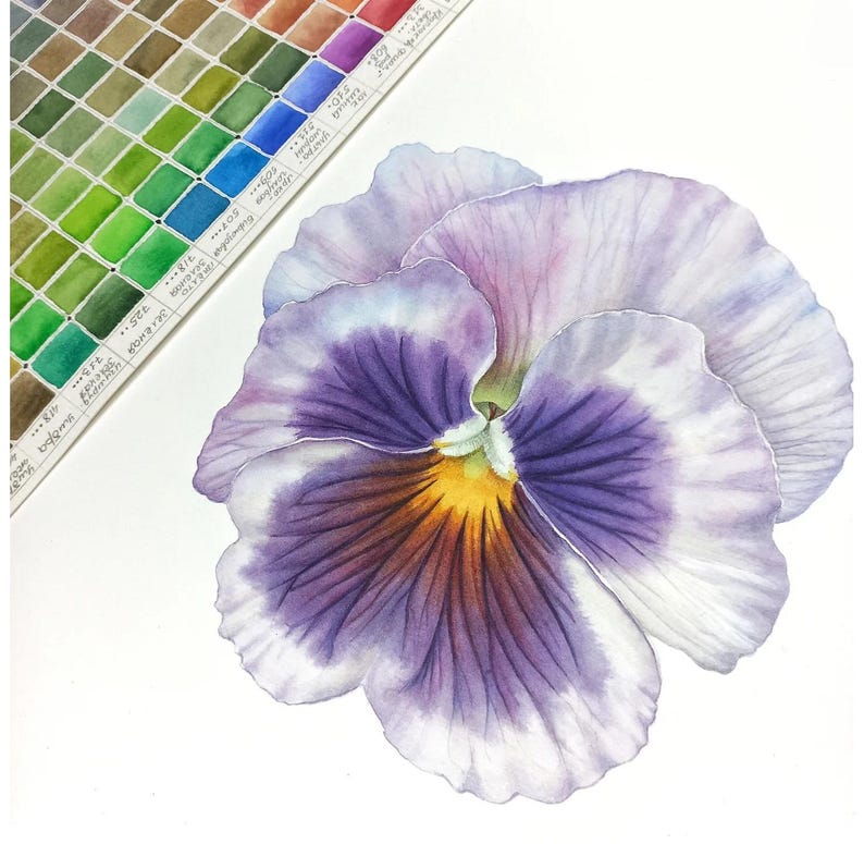 ORIGINAL Watercolor Painting of Violet Pansy Flower, Botanical ...