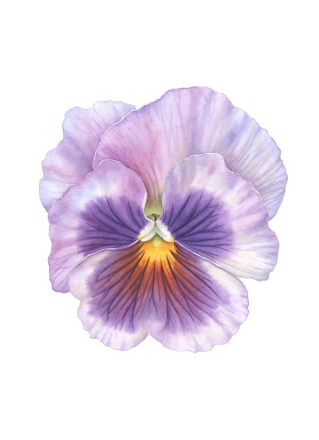ORIGINAL Watercolor Painting of Violet Pansy Flower, Botanical ...