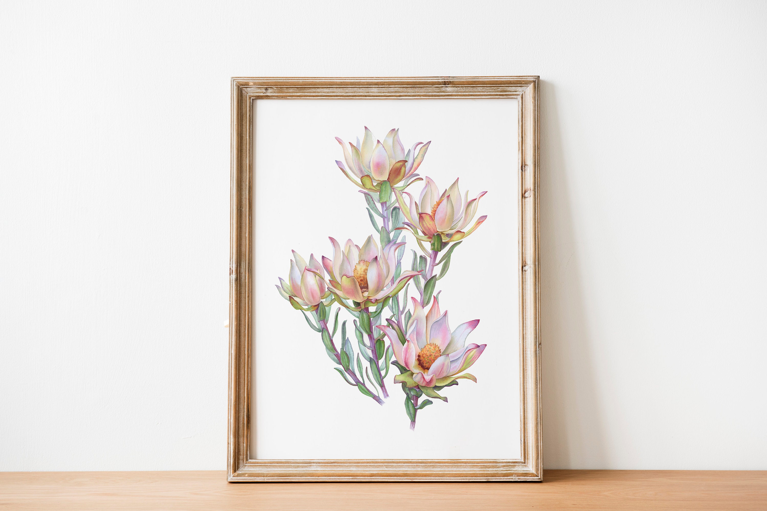 Original Art Prints Set of 3 Botanical Flower Prints Office - Etsy