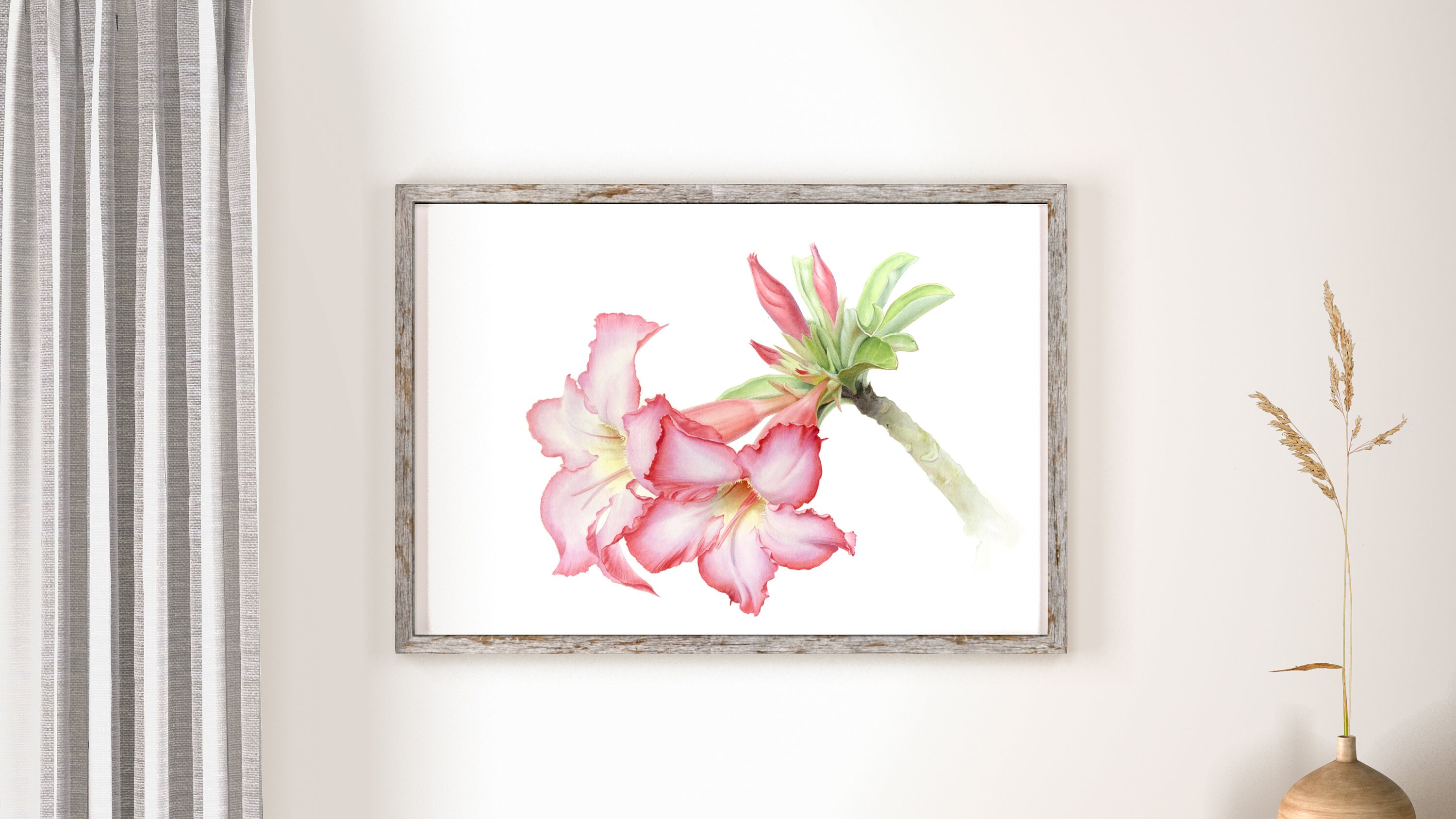 Watercolour Botanical Print of Adenium Flower, Pink Desert Rose Flower ...