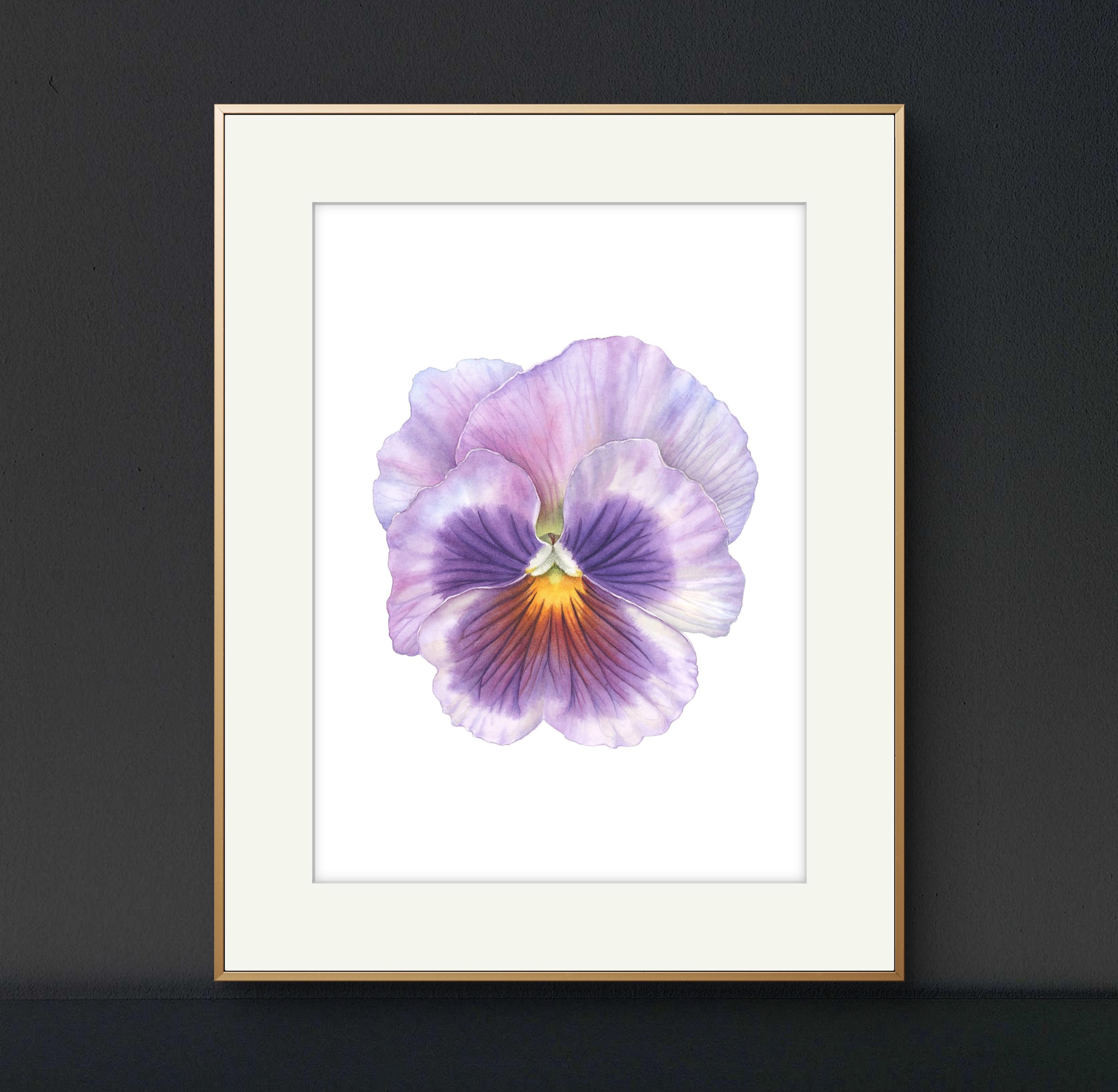 ORIGINAL Watercolor Painting of Violet Pansy Flower, Botanical ...