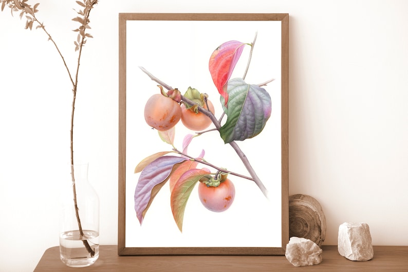 Botanical Art Print of Persimmon Fruit Watercolor Painting, Giclee ...