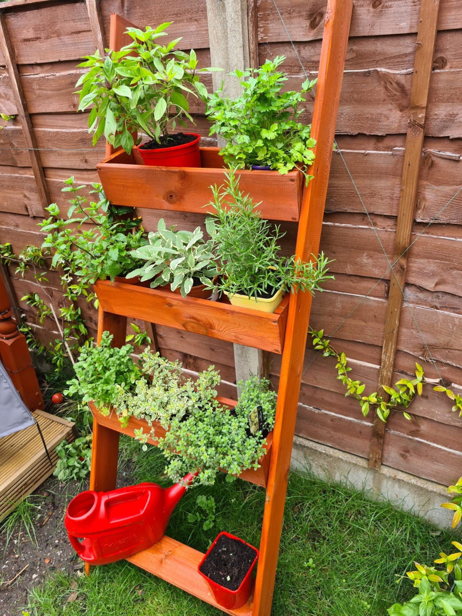 Wooden Planter Ladder Outdoor Herbs Plants Flowers - Etsy