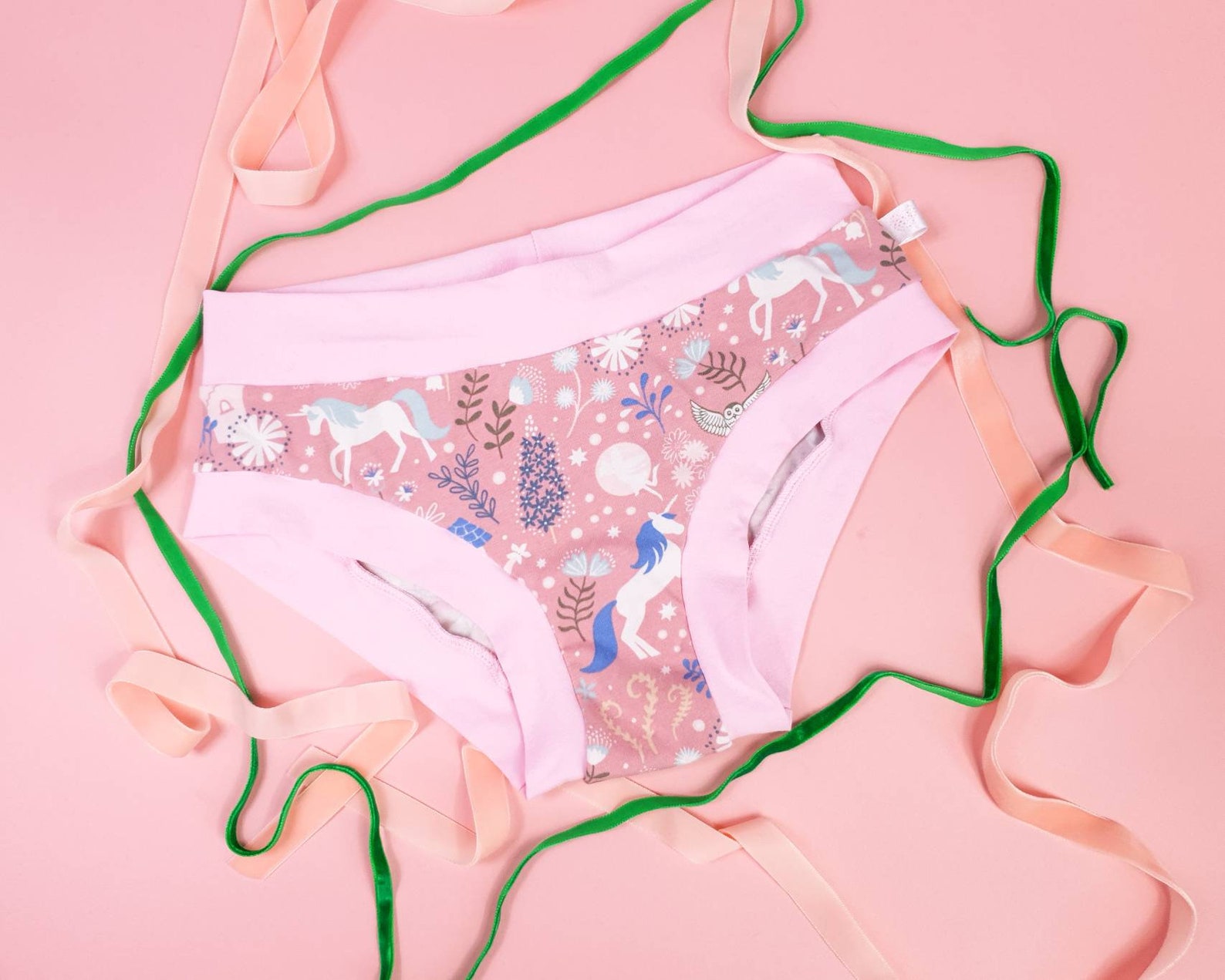 Ddlg Panties Little Space Underwear Abdl Lingerie Ageplay Etsy