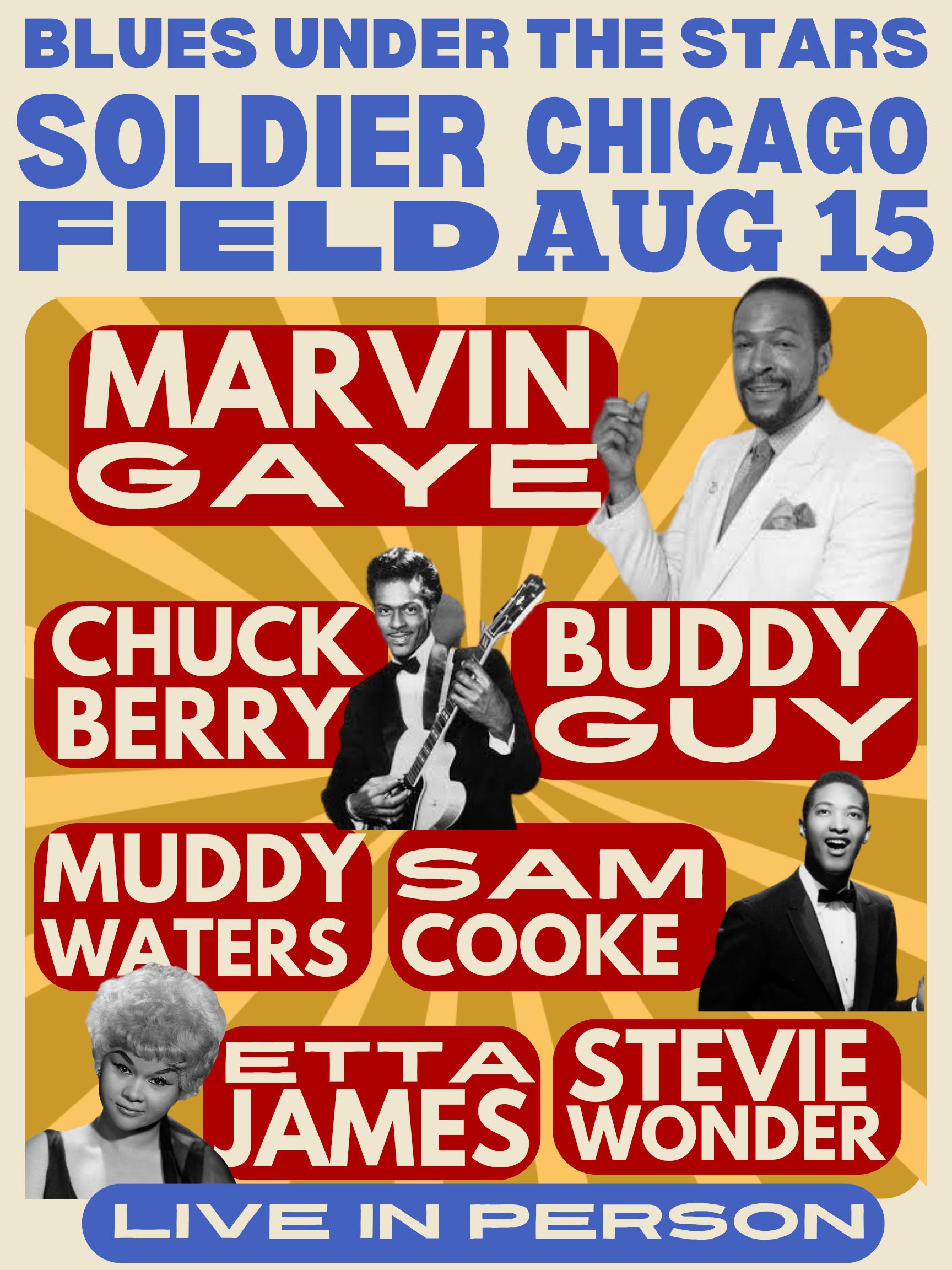 Marvin Gaye Chuck Berry Stevie Wonder Etta James Muddy - Etsy