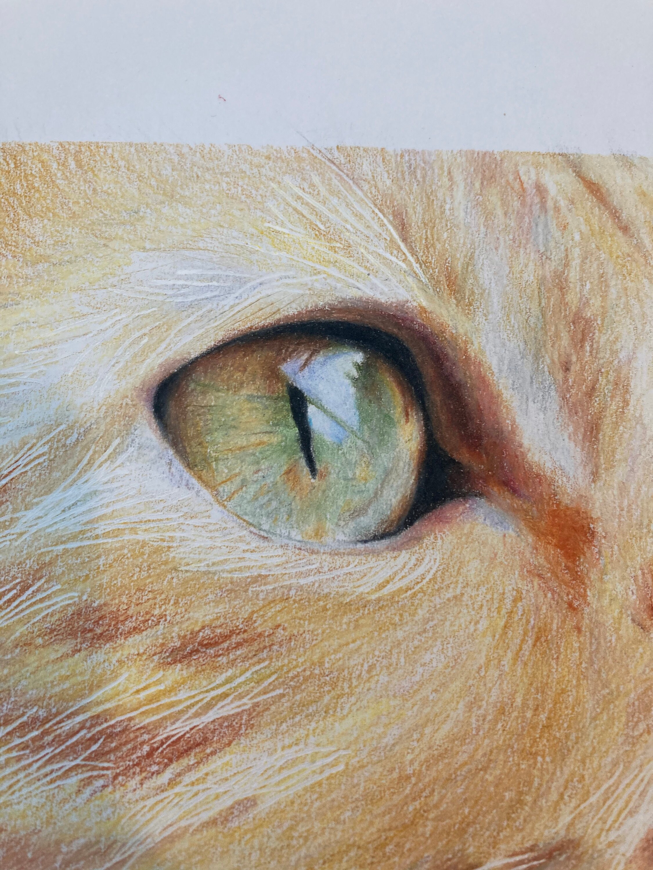 Cat Eye Colored Pencil Print - Etsy