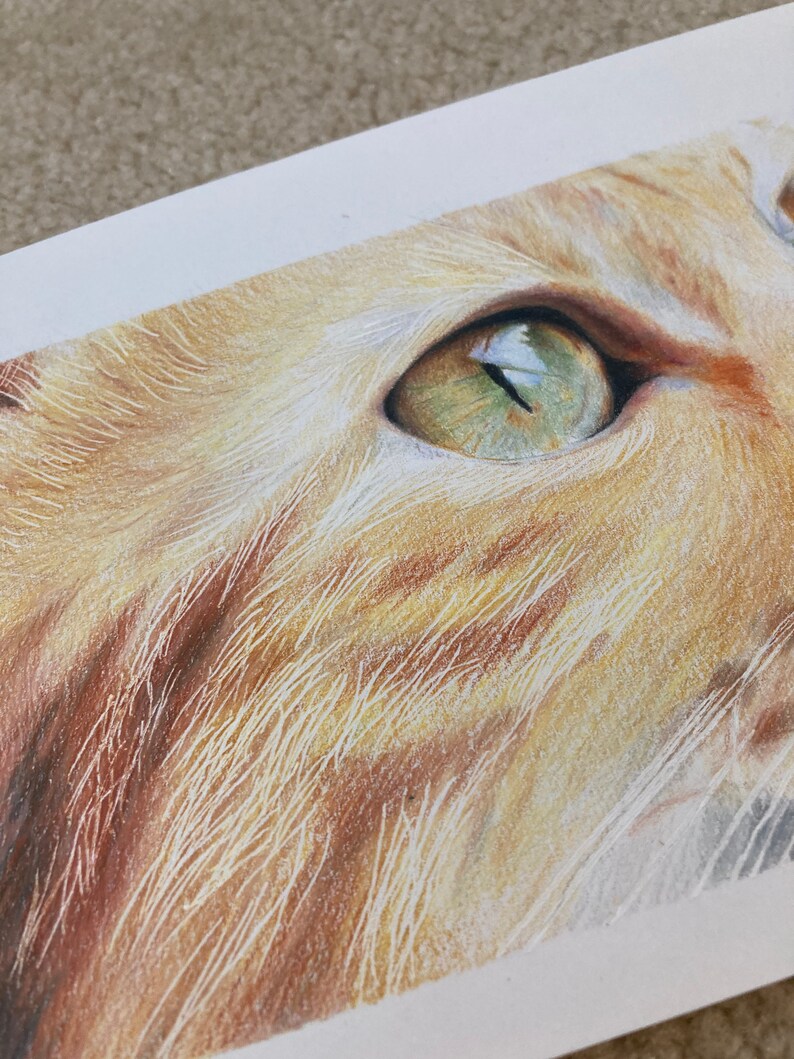 Cat Eye Colored Pencil Print - Etsy