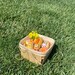 Easter Basket- Hand Painted Easter Themed Rocks Arranged Inside a ...