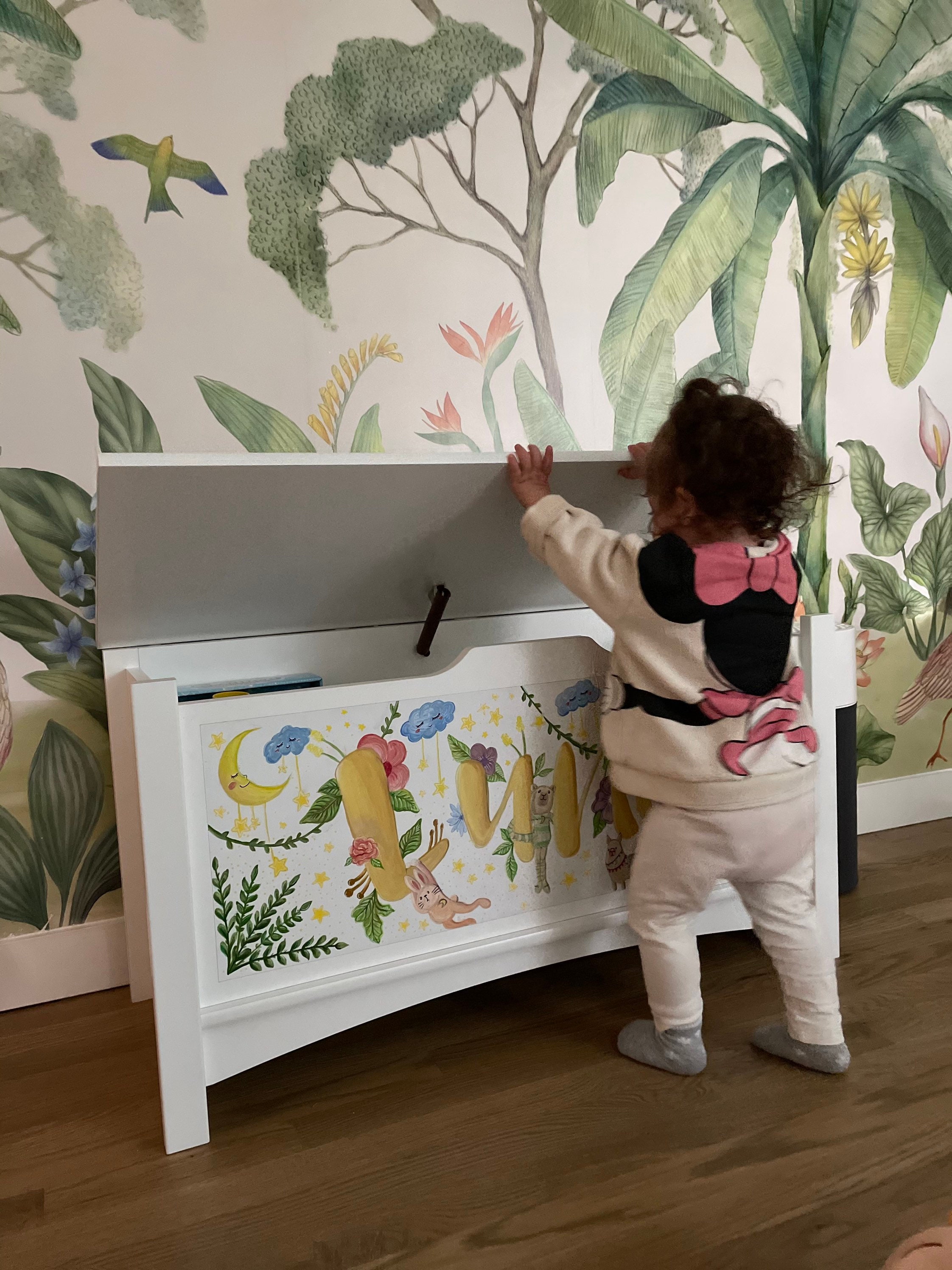 Personalized, Custom Hand Painted Toy Chest, Hand Painted Wooden Toy ...