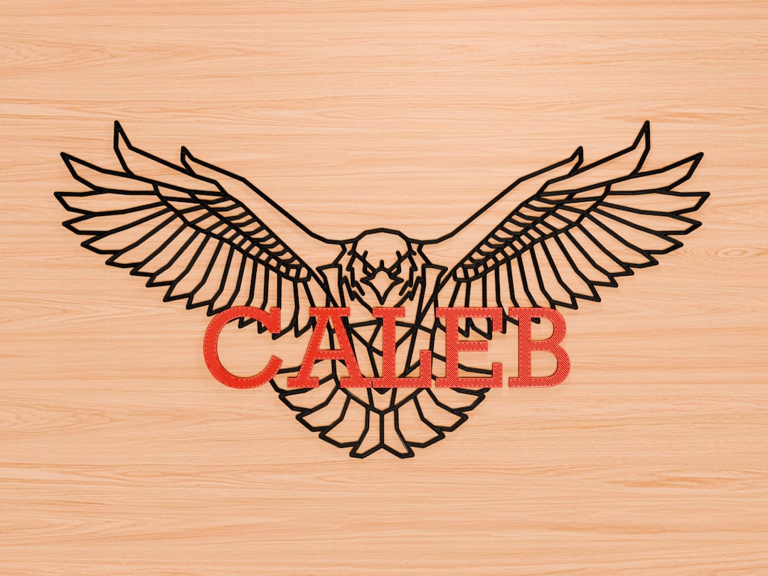 Personalized Eagle Name Sign for Kids Bedroom Wall Art Custom Decor Boy ...