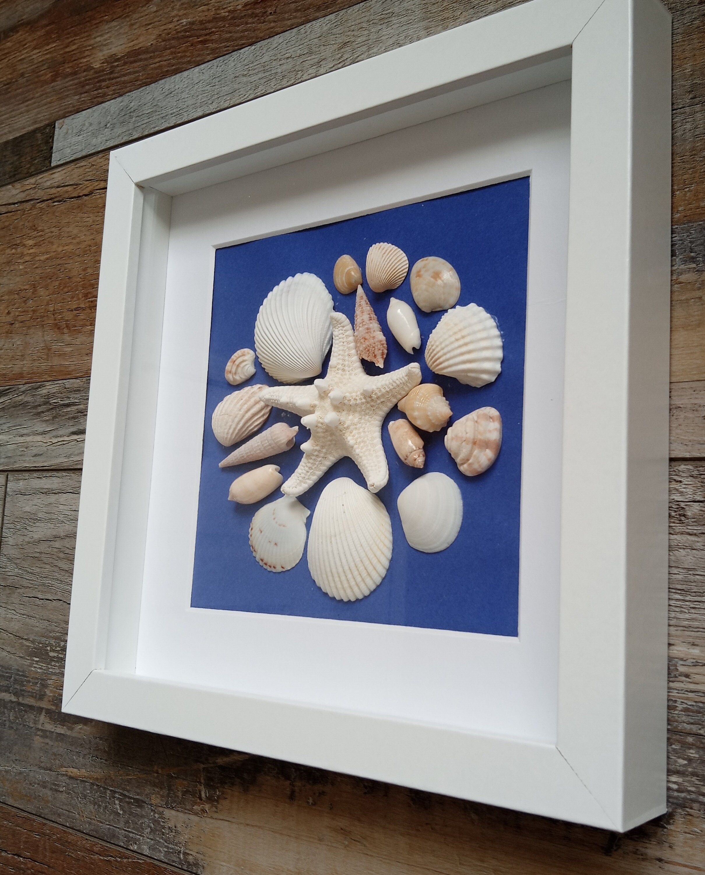 8x8 Shadow Box Framed Seashell Art - Etsy