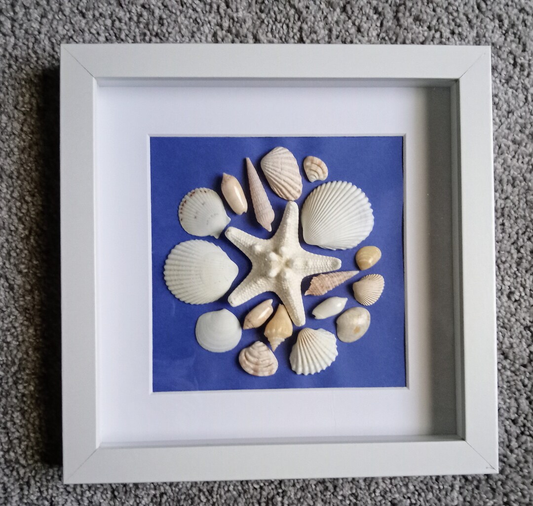 8x8 Shadow Box Framed Seashell Art - Etsy