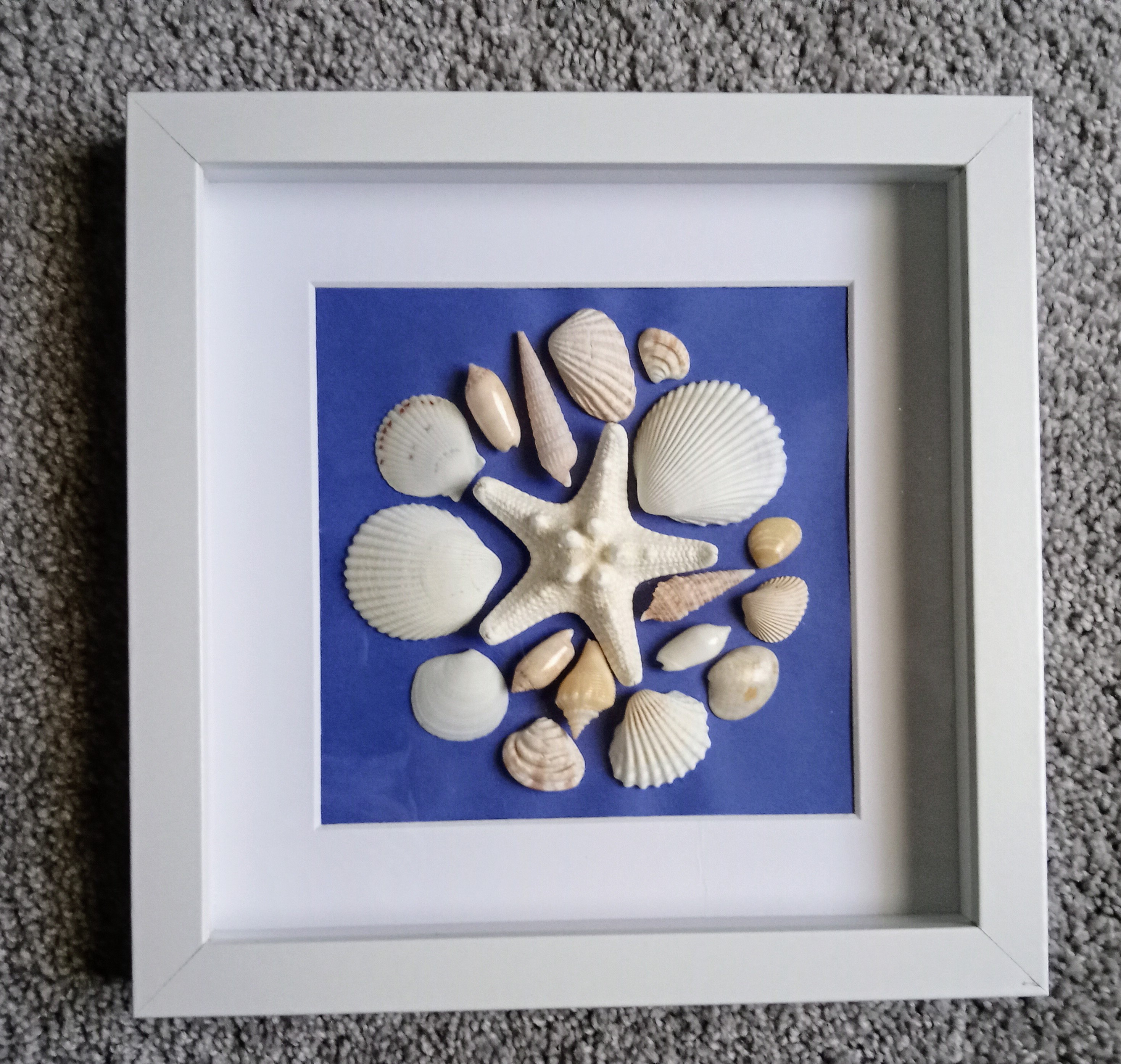 8x8 Shadow Box Framed Seashell Art - Etsy