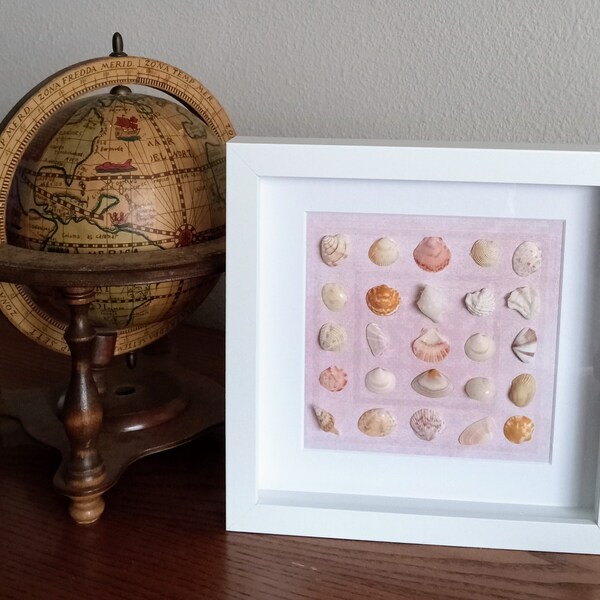 Seashell Shadow Box - Etsy