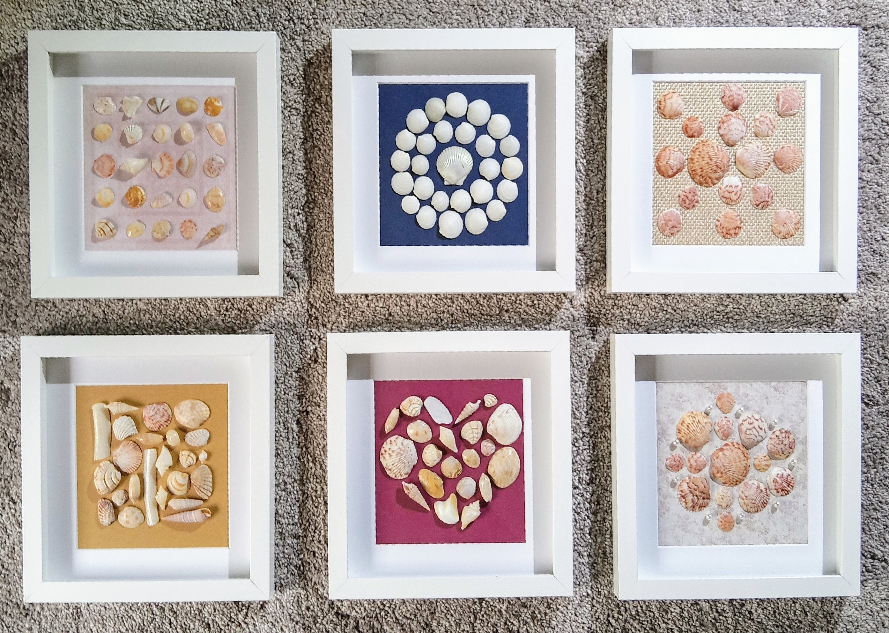 8x8 Shadow Box Framed Seashell Art - Etsy