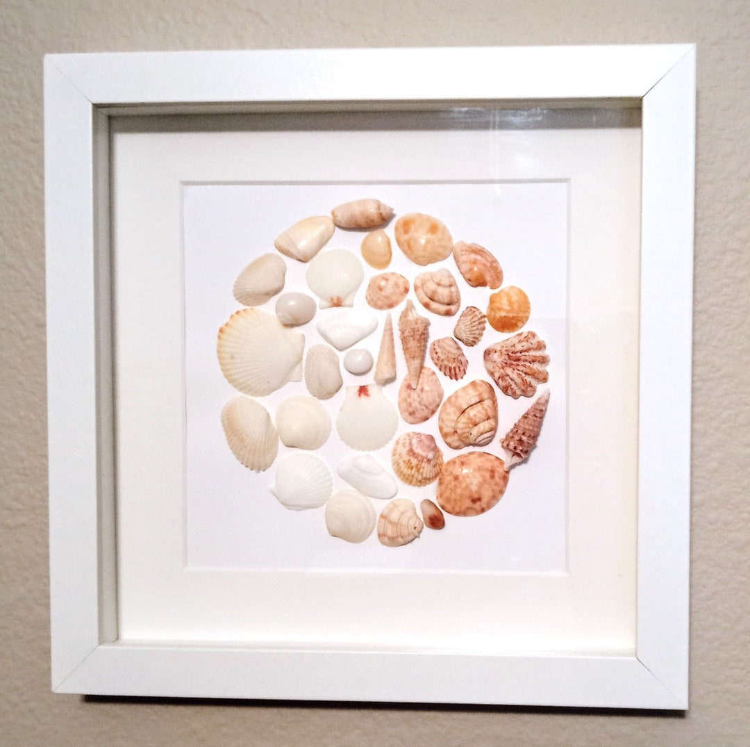 8x8 Shadow Box Framed Seashell Coastal Decor - Etsy
