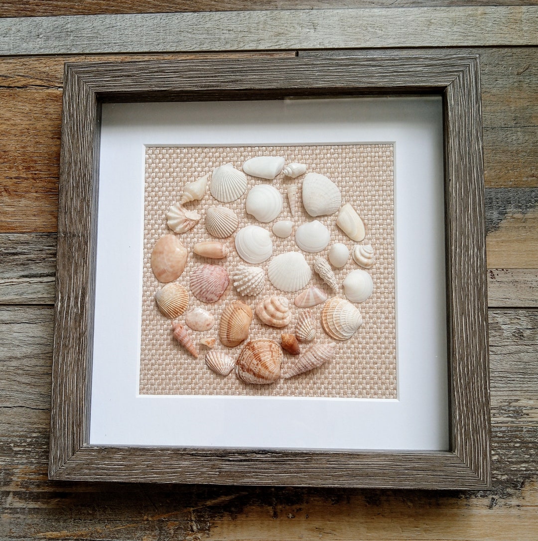 8x8 Seashell Shadow Box, Framed Seashells, Beach Decor, Shell Art ...