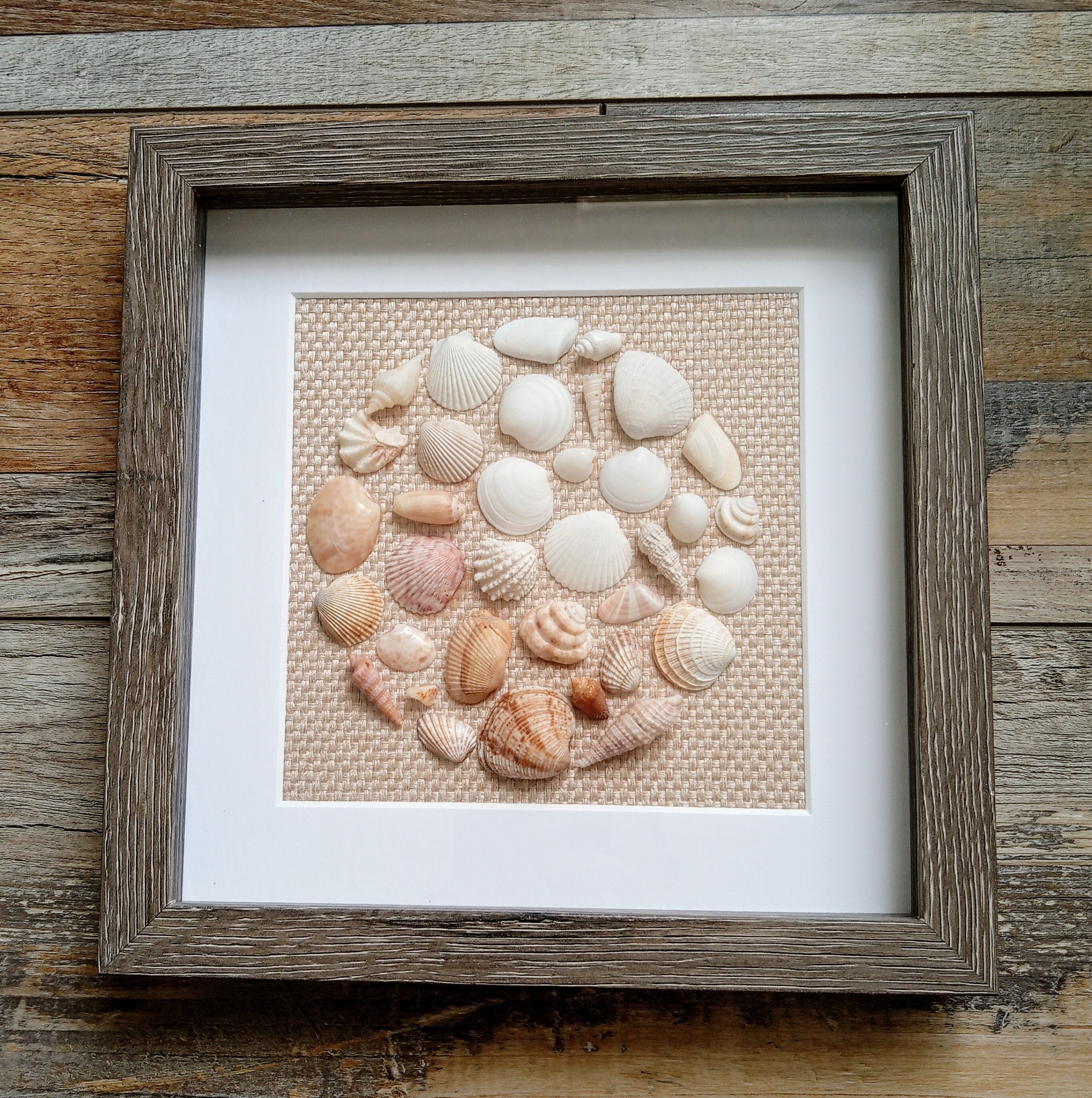 8x8 Seashell Shadow Box Framed Seashells Beach Decor Shell - Etsy