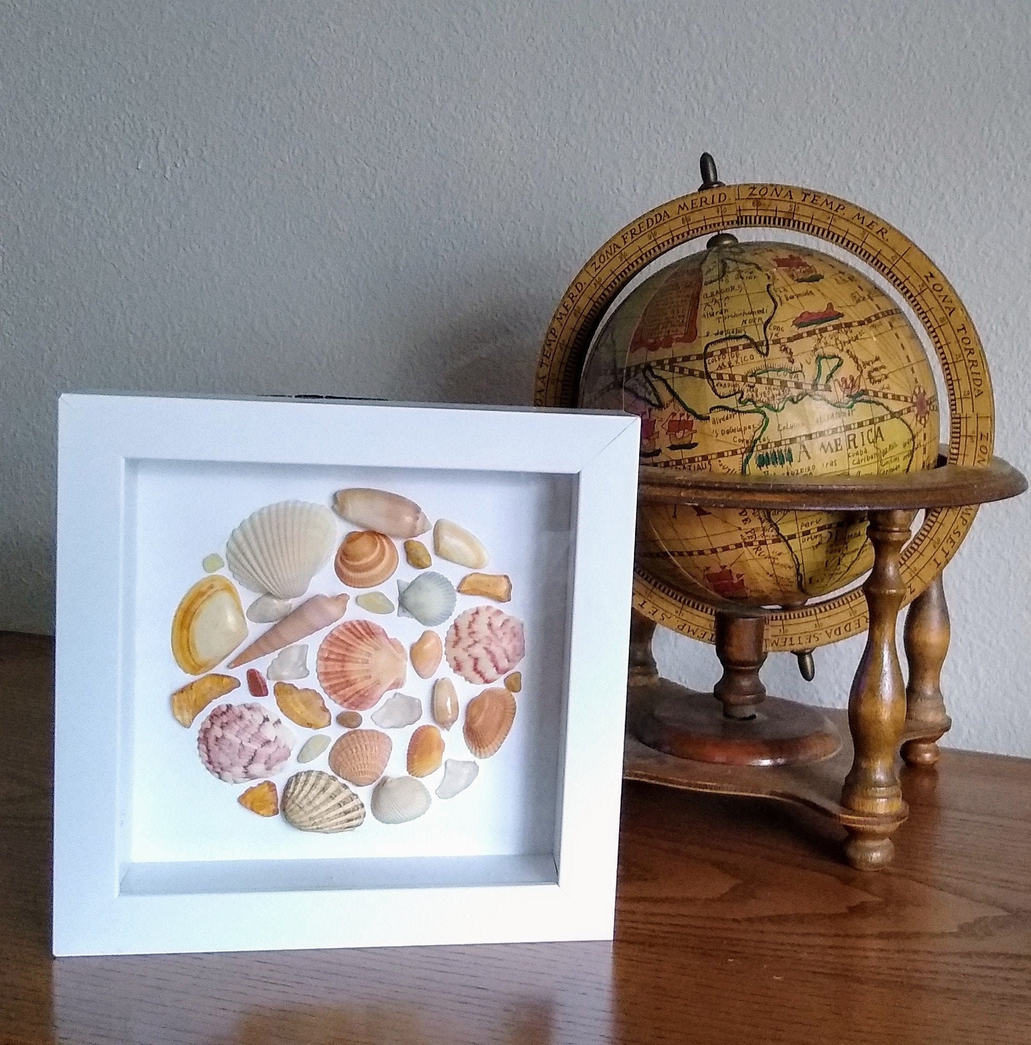 7"x7" Seashell Shadow Box Framed Seashell Coastal Decor - Etsy