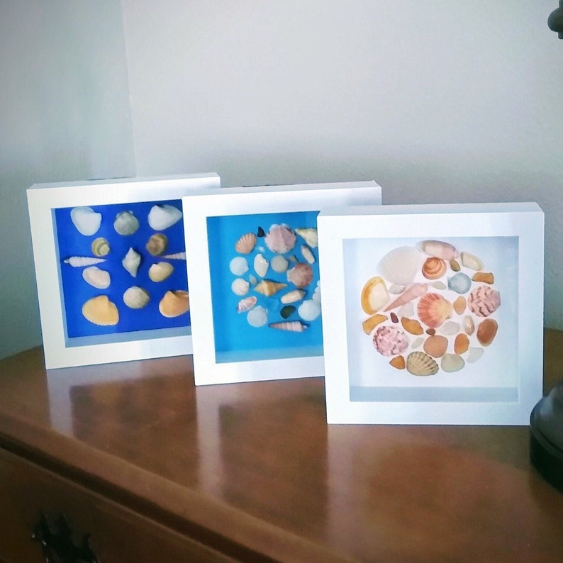 7"x7" Seashell Shadow Box Framed Seashell Coastal Decor - Etsy