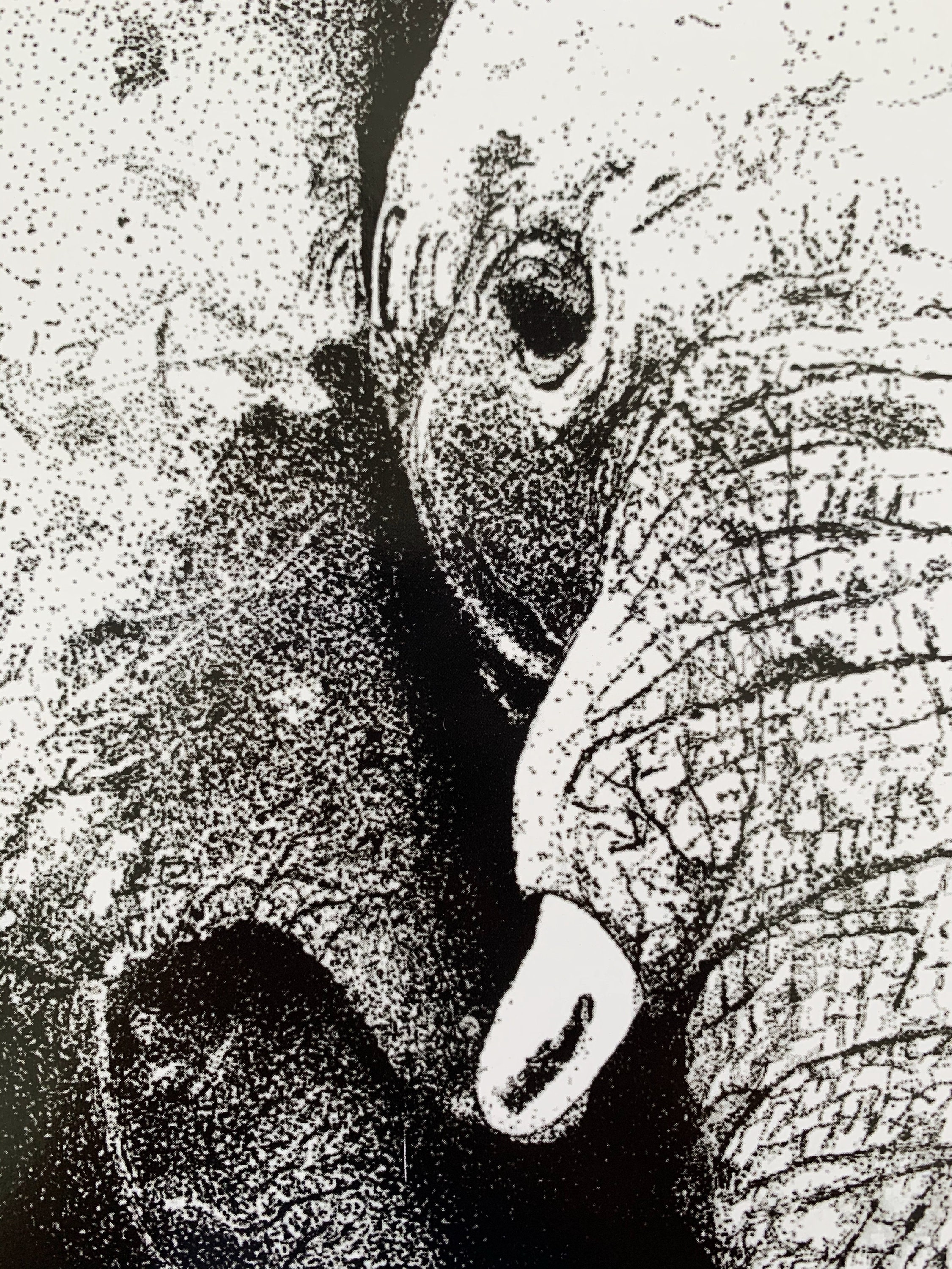 Stippled Elephant Print - Etsy