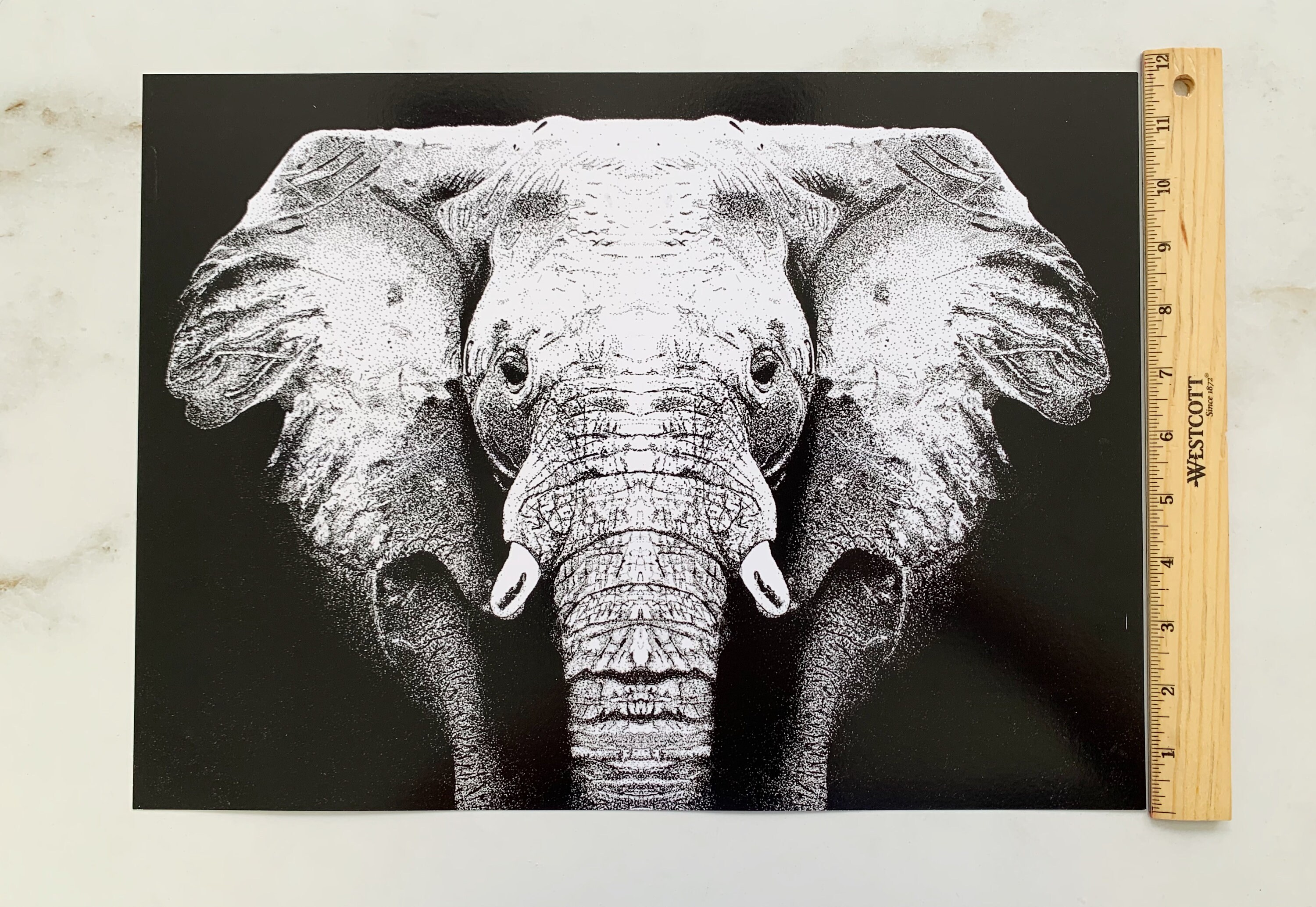 Stippled Elephant Print - Etsy
