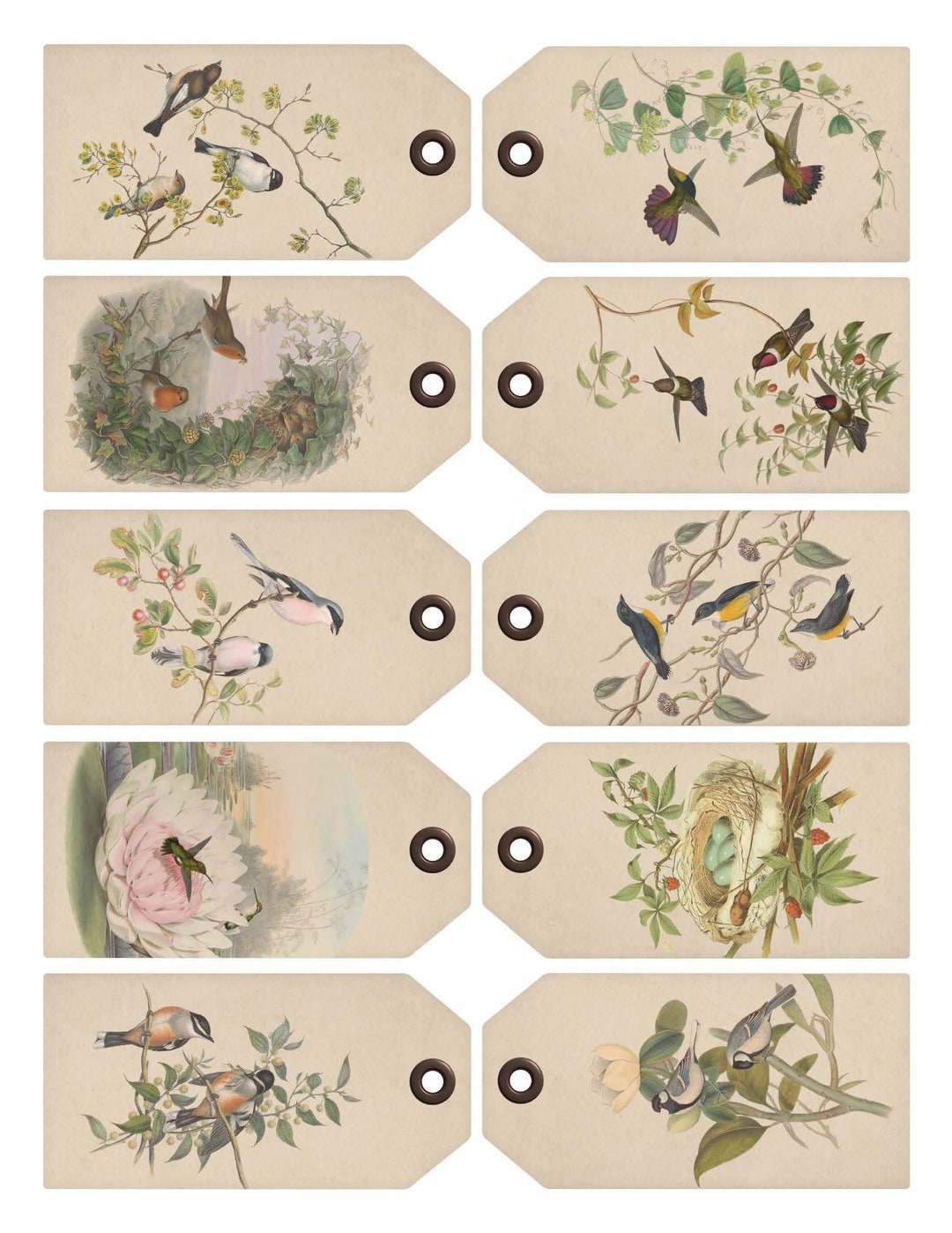 Vintage Bird Tags, Digital Download,, Ephemera, Junk Journal ...