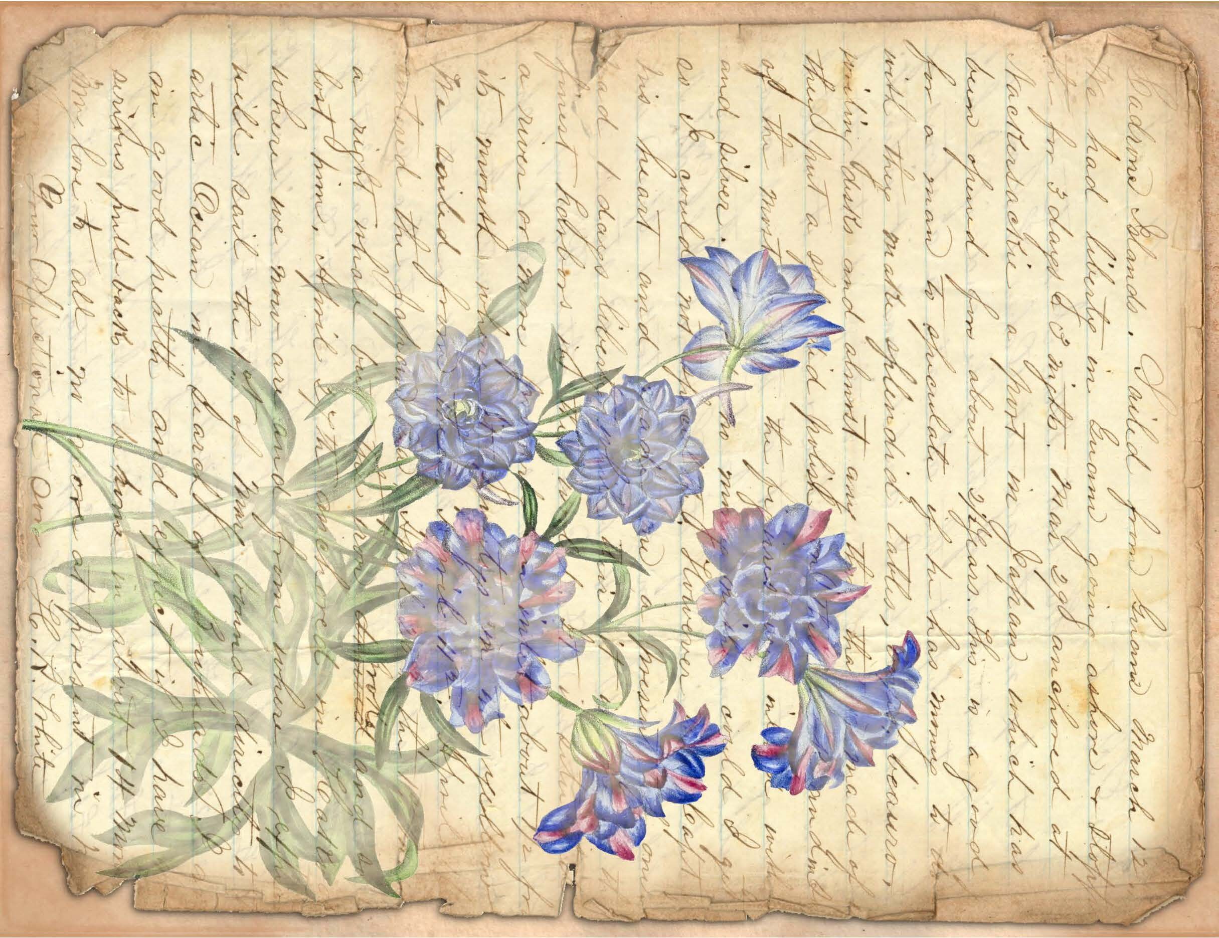 Vintage Floral Digital File Folder Set Digital Download - Etsy