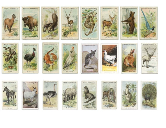 Animal Printable Vintage Tea Cards 1 Page Digital Download - Etsy