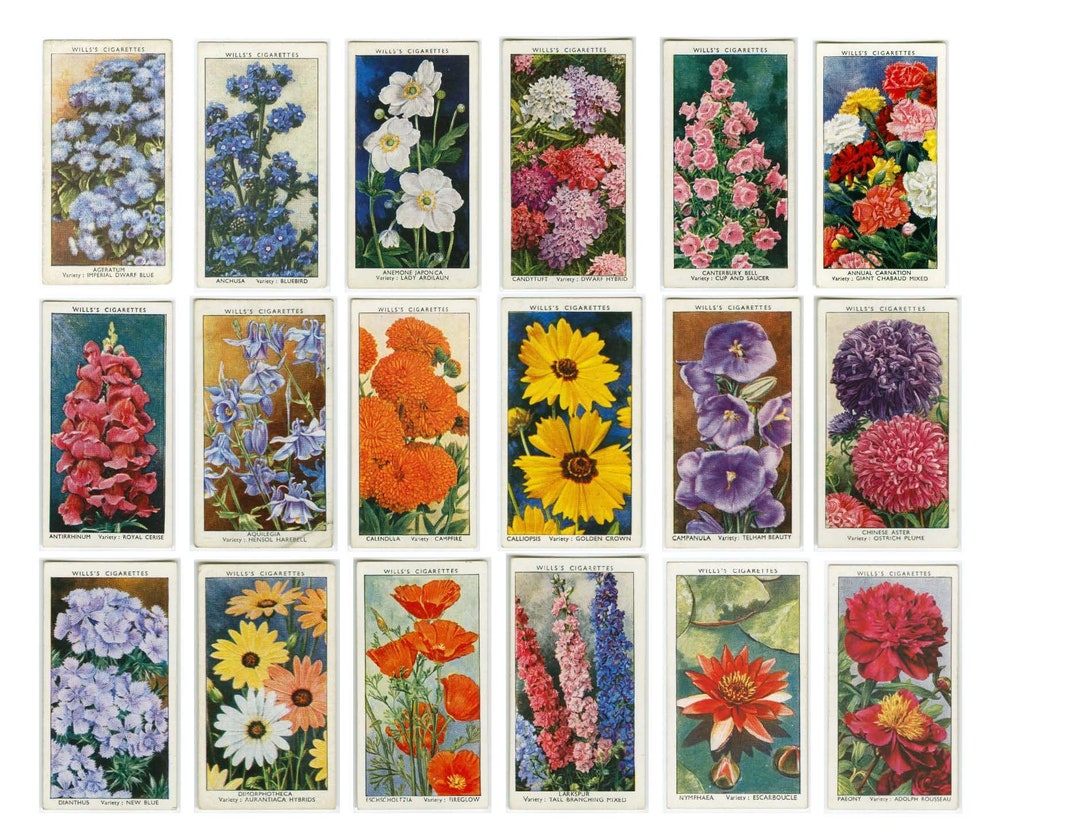 Vintage Floral Tea Cards: Printable Ephemera (digital Download) - Etsy