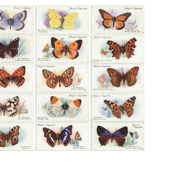 Butterfly Ephemera - Etsy