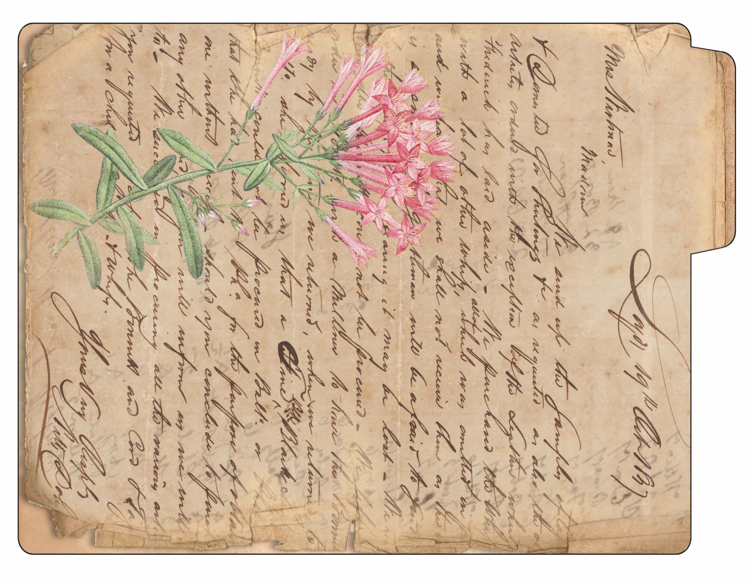 Vintage Floral Digital File Folder Set Digital Download - Etsy