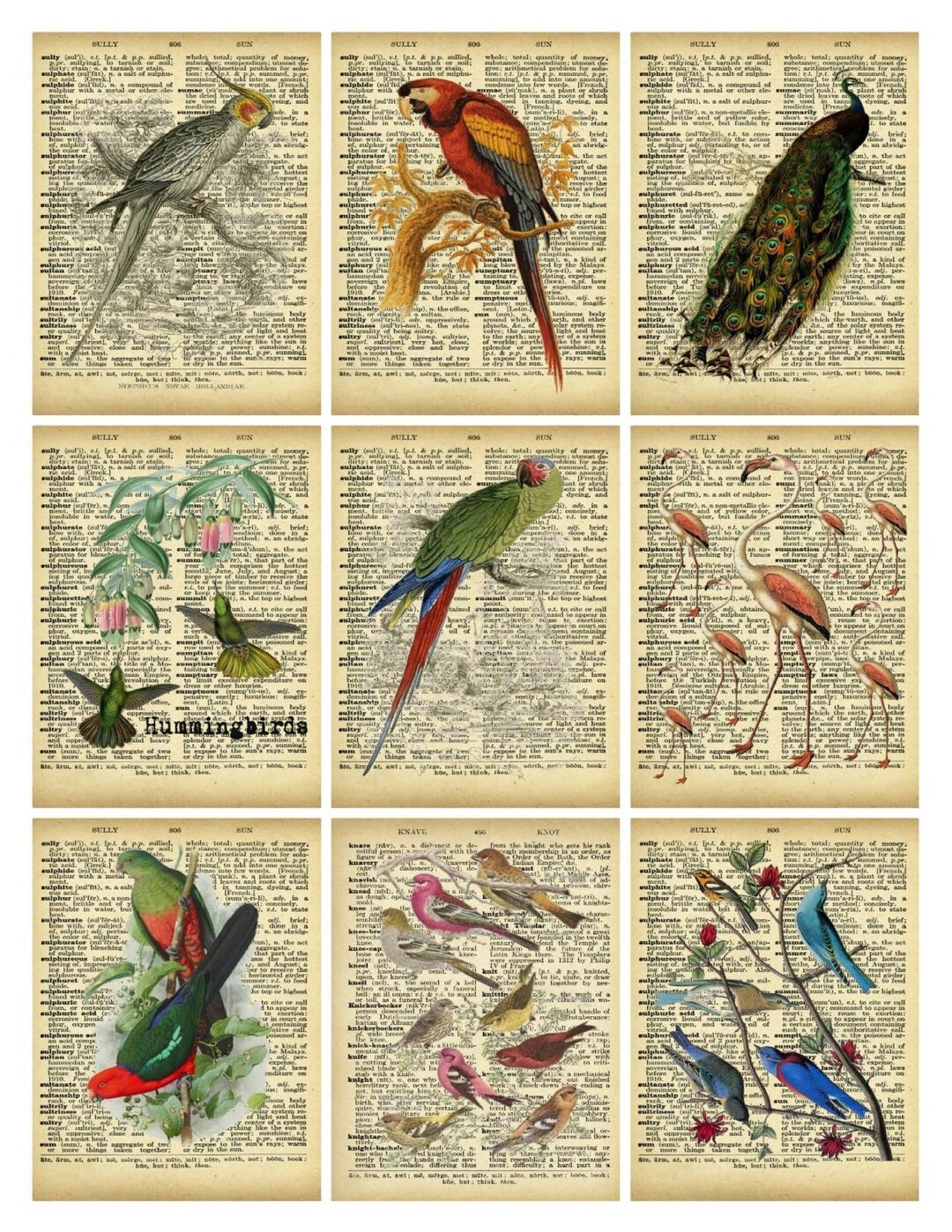 Vintage Bird Book Page Journal Cards, Digital Download, Ephemera, Junk ...
