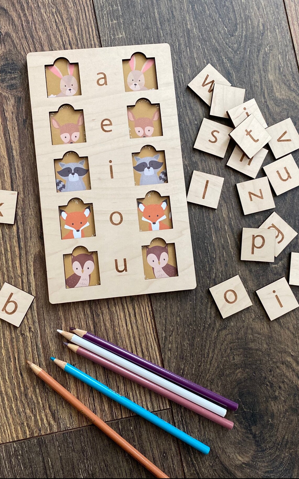 CVC Words Word Boards Wooden Spelling Board Homeschool. | Etsy