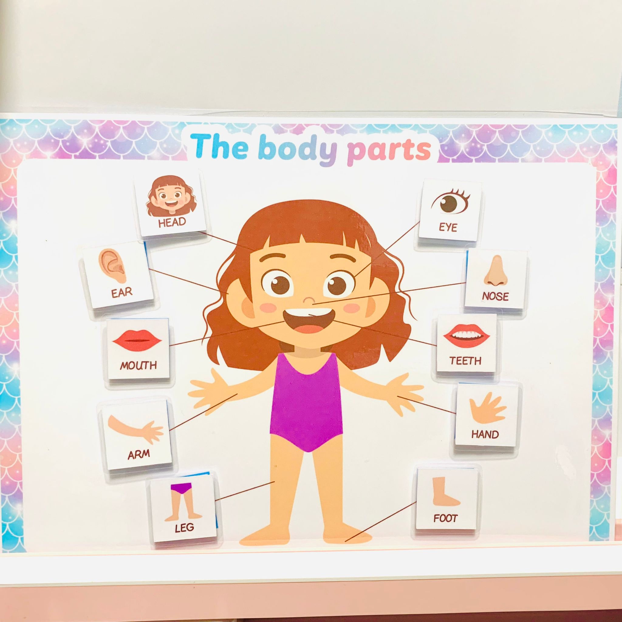 Girl/boy Body Parts Matching Velcro Activity EYF - Etsy UK