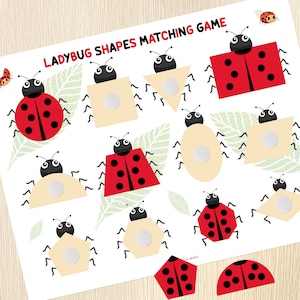 Ladybug Shapes Matching Activity, 2D Shapes Game, Spring Summer ...