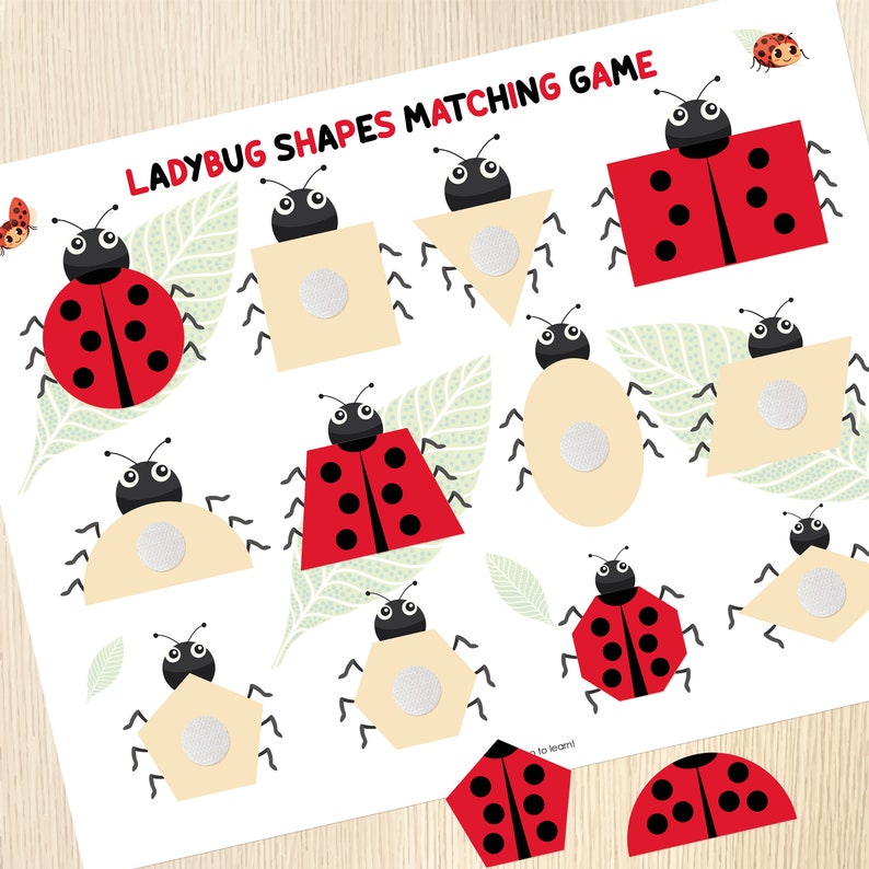 Ladybug Shapes Matching Activity, 2D Shapes Game, Spring Summer ...