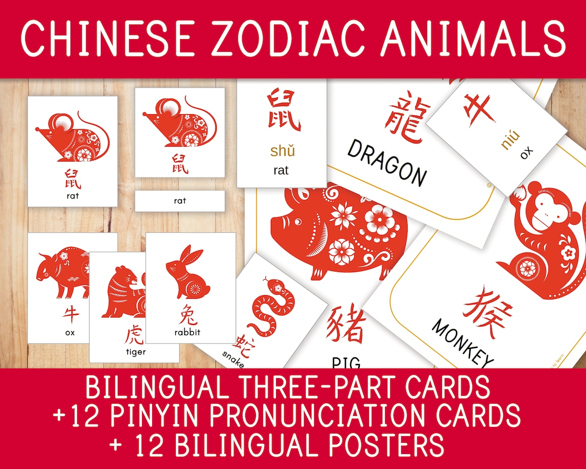 Chinese Zodiac Animals Chinese Mandarin and English | Etsy