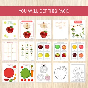 Apple Unit Study, Life Cycle, Apples Varieties, Apple Parts, Fall ...