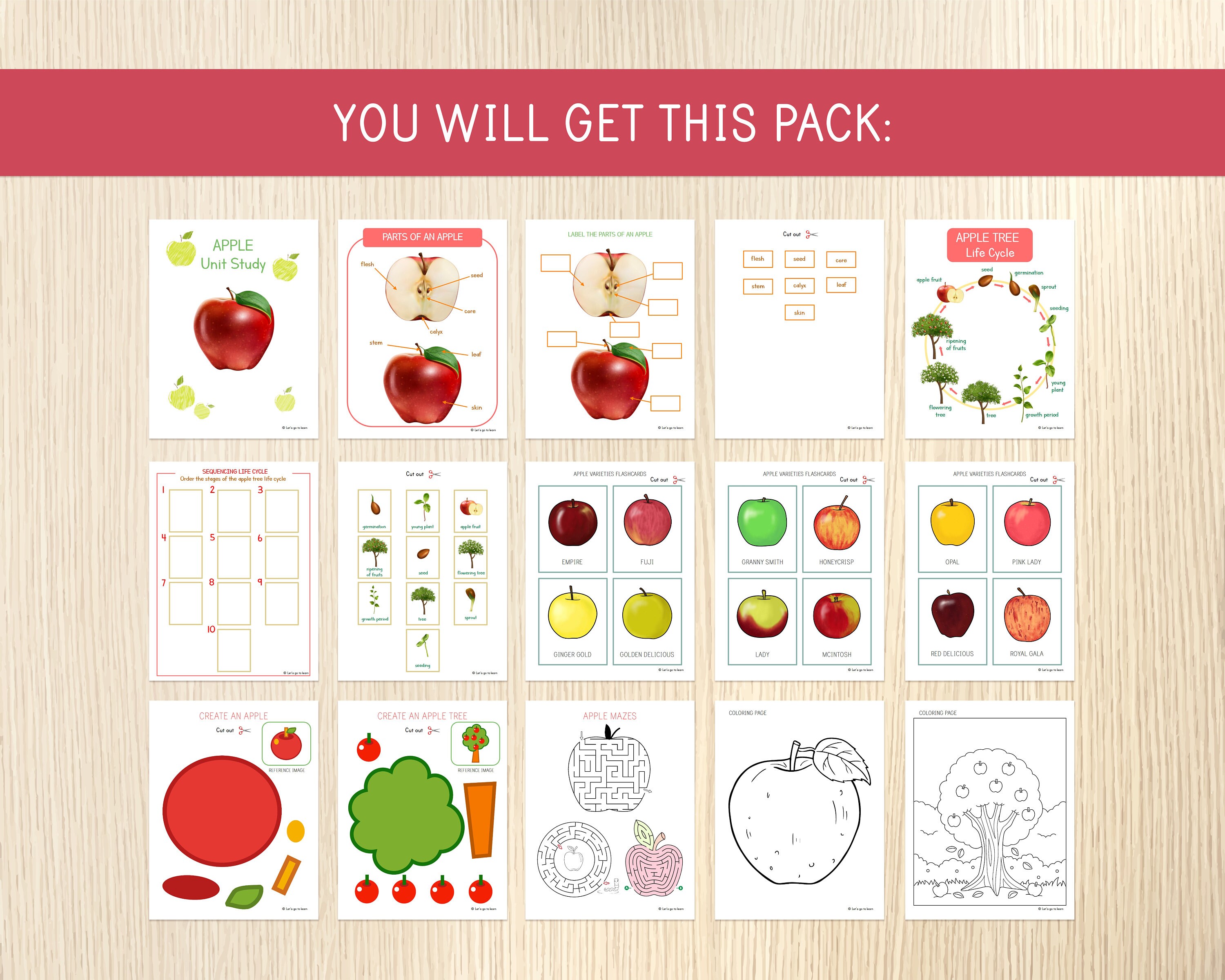 Apple Unit Study Life Cycle Apples Varieties Apple Parts - Etsy